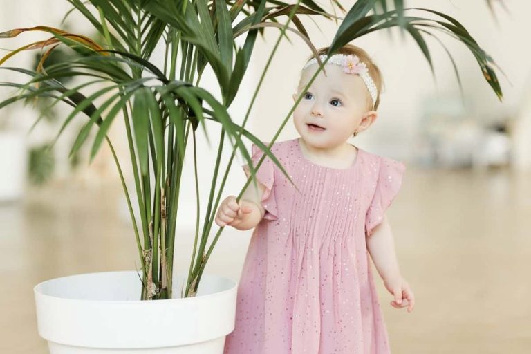 7 Safe Baby Nursery Plants That Look Stunning In 2021